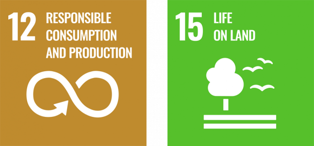 12. Responsible consumption and production